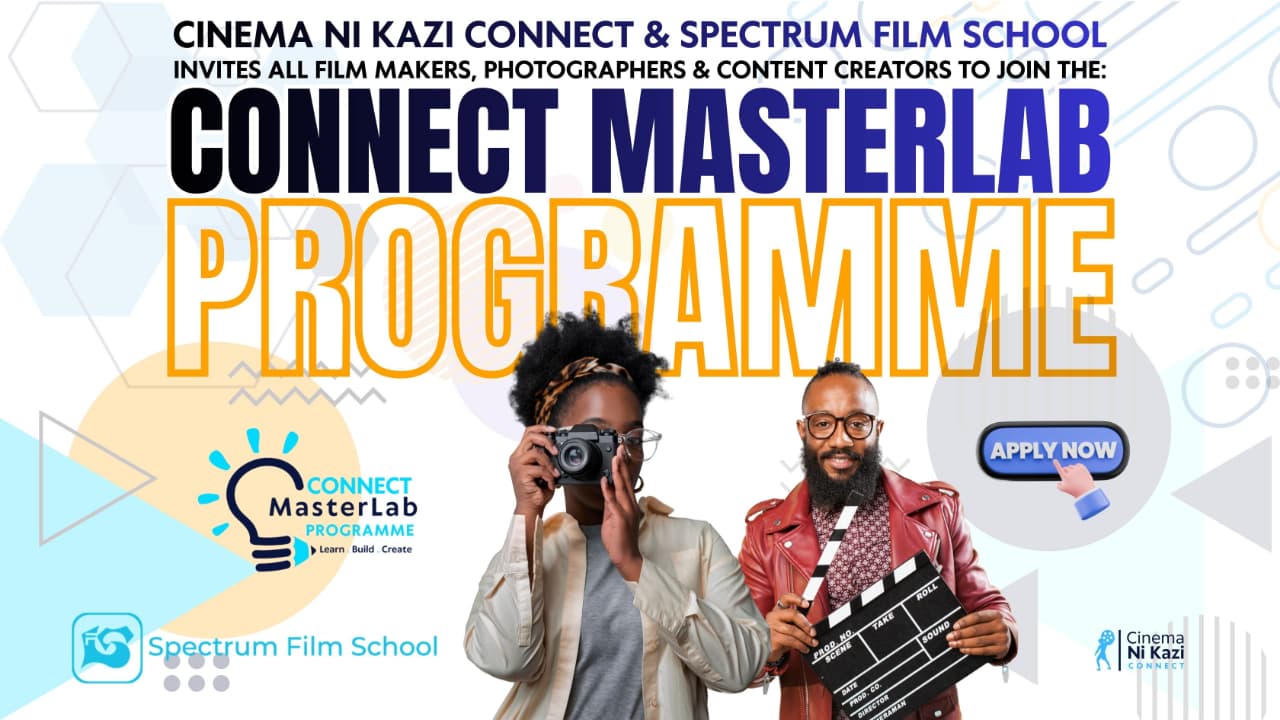 Connect MasterLab Programme